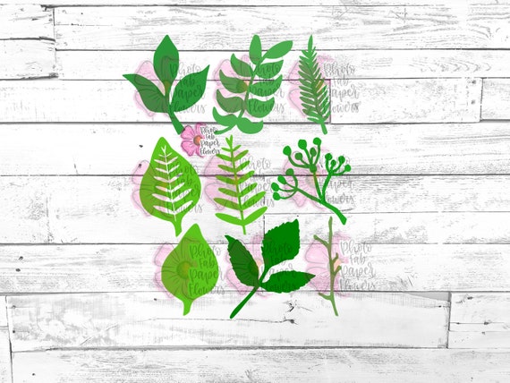 Leaf Bundle 1 Digital File SVG/PNG/PDF Svg Leaf Cricut - Etsy