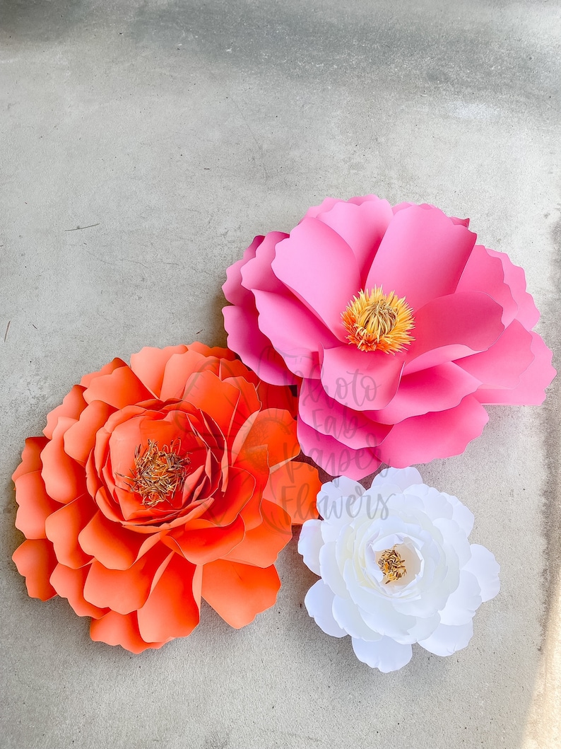 Large Cosmos Paper Flower Template Digital File | SVG/PNG/PDF | Paper ...