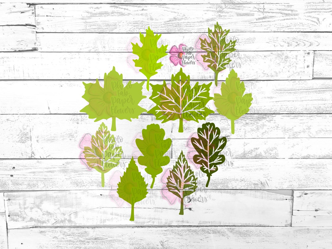 Fall Leaf Bundle Digital File | SVG | PNG | DXF | Svg Leaf | Cricut ...