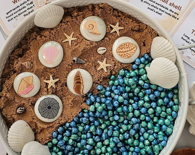 Seashells of Britain, Painted Pebbles , Nature, Shell Illustrations ...