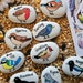 Bird Species Pebbles . British Birds. Garden . Uk Birdwatching Weekend ...