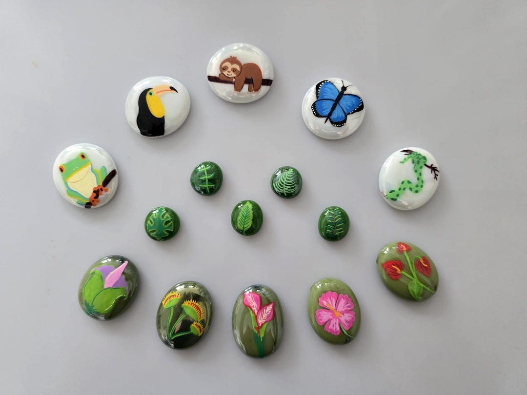 Rainforest Plants, Flowers and Animals Pick and Mix, Painted Pebbles ...