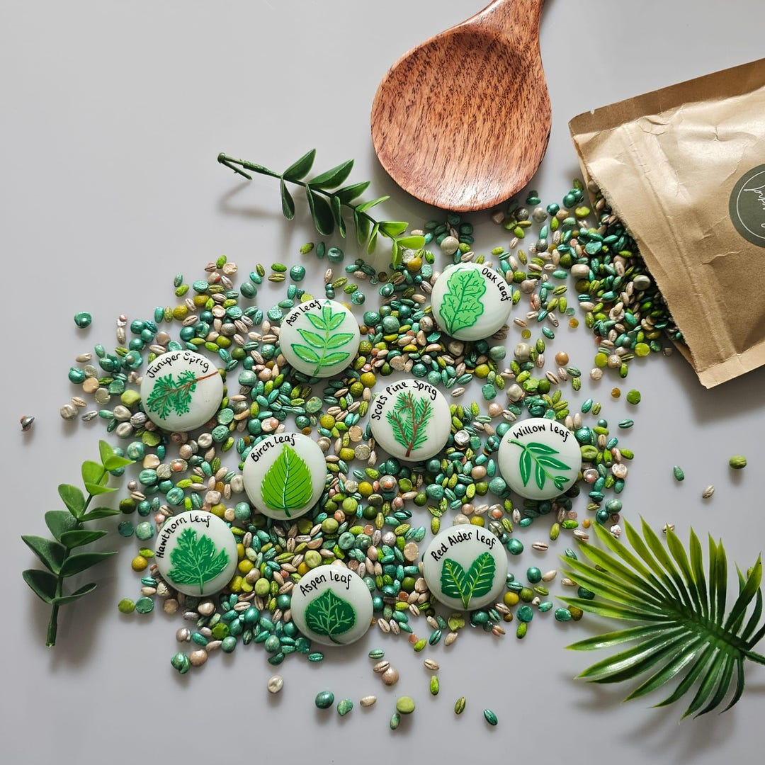 Types of Leaves Painted Pebbles, Nature Hunt, Leaf Play, Loose Parts ...