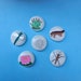 Pond Wildlife Painted Pebbles, Early Years Learning, Nature Hunt Story ...