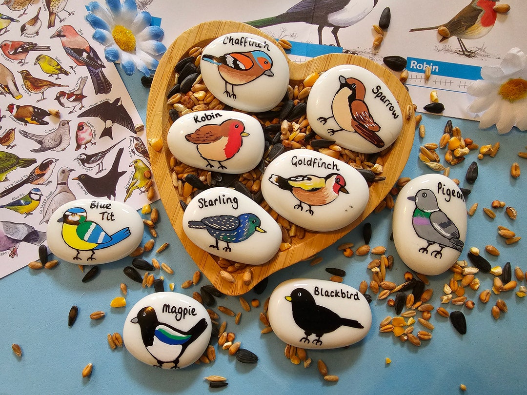 Bird Species Pebbles . British Birds. Garden . Uk Birdwatching Weekend ...