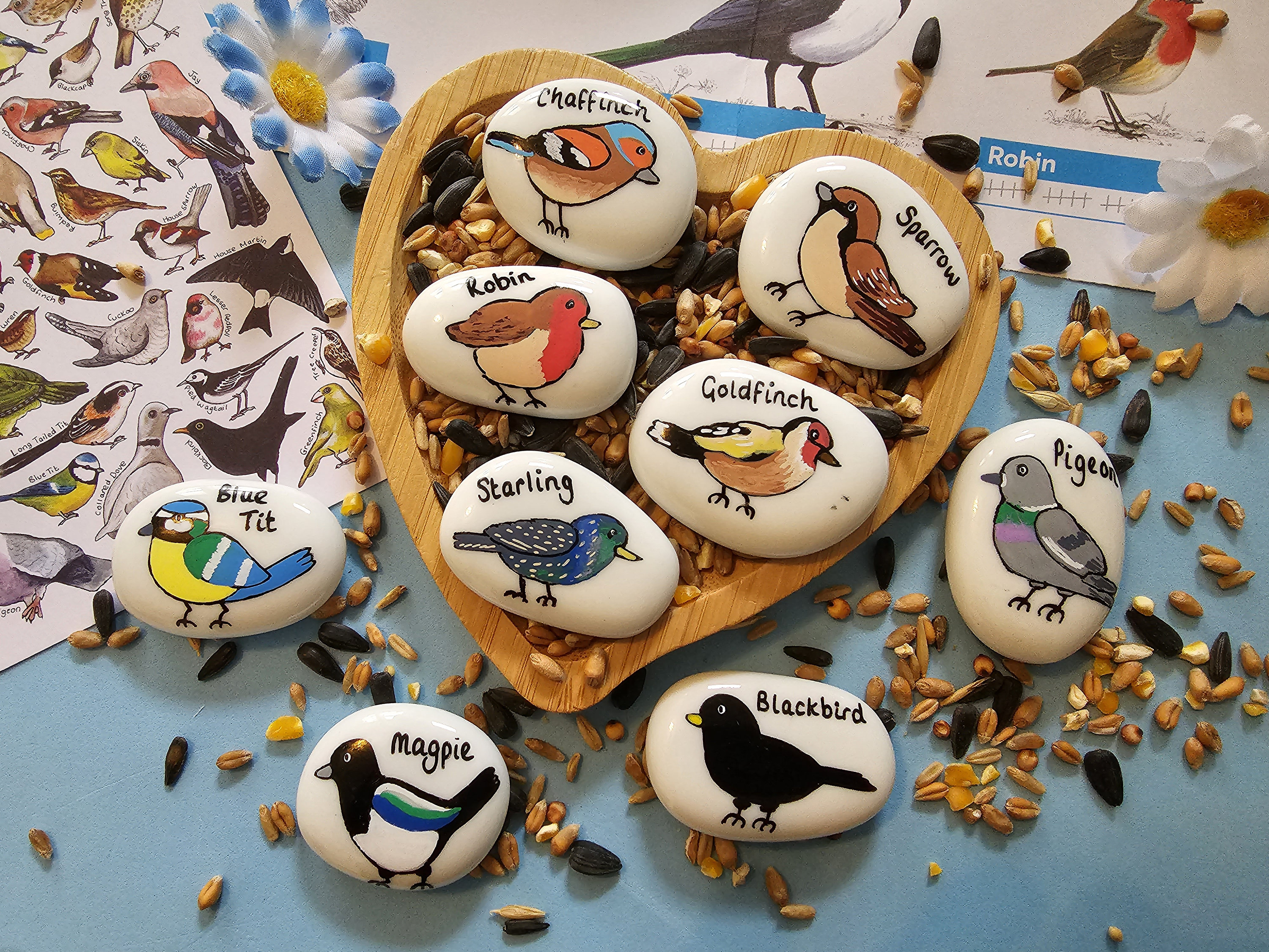 Bird Species Pebbles . British Birds. Garden . Uk Birdwatching Weekend ...