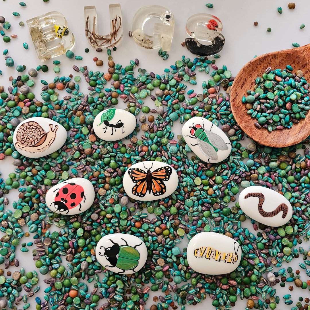 Minibeasts - Story Stones - Educational Stones - Eyfs Resources - Early ...