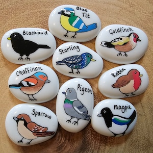 Bird Species Pebbles . British Birds. Garden . Uk Birdwatching Weekend ...