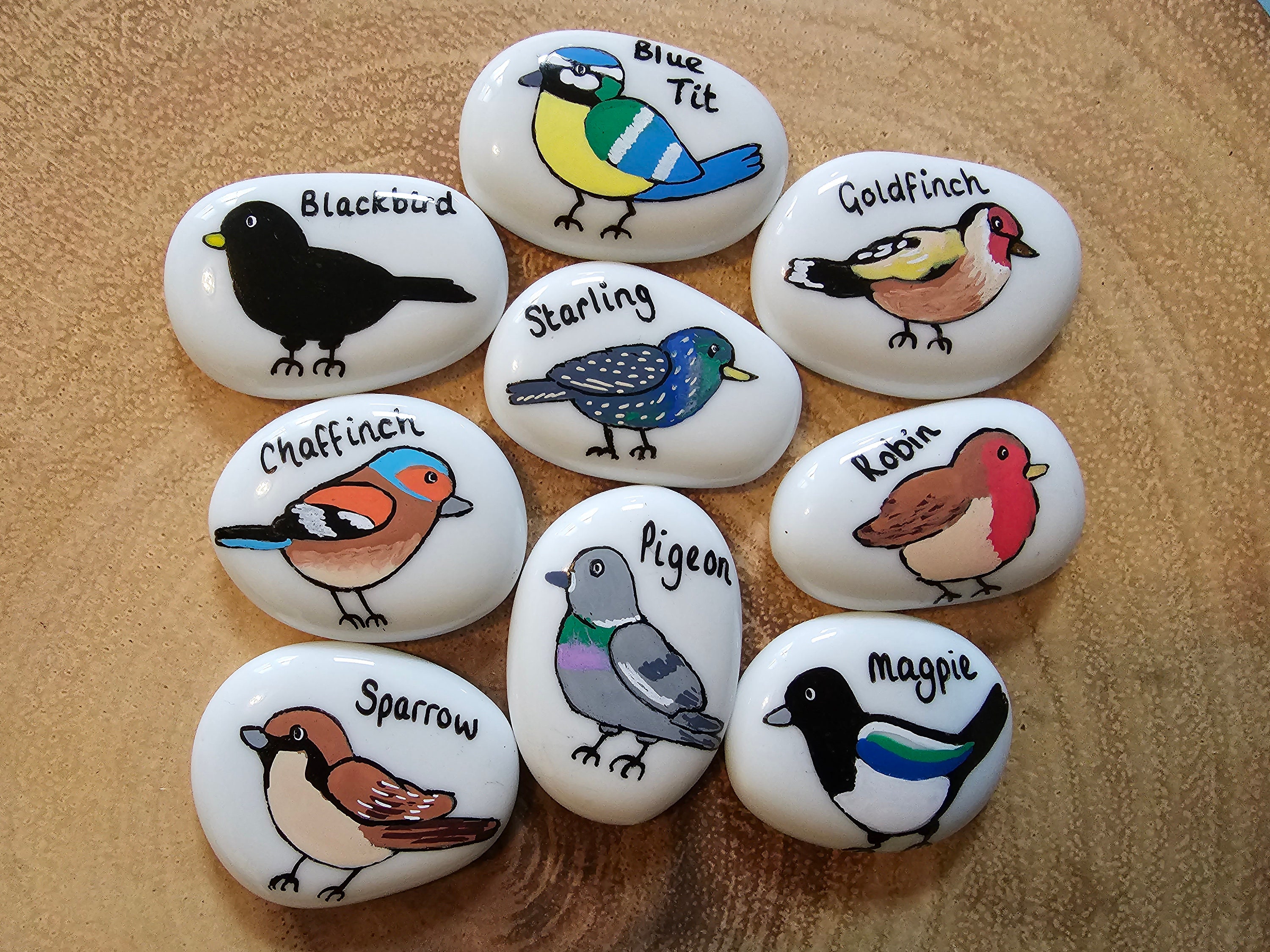 Bird Species Hand Painted Pebbles . RSPB . Garden Birdwatching - Etsy UK
