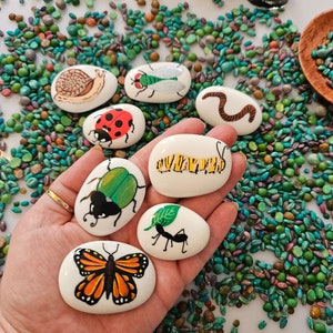 Minibeasts - Story Stones - Educational Stones - Eyfs Resources - Early ...