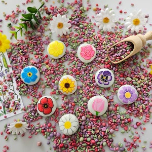 Painted Flower Story Pebbles, Garden Play Resources, Nature Hunt Stones ...