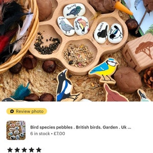 Bird Species Pebbles . British Birds. Garden . Uk Birdwatching Weekend ...