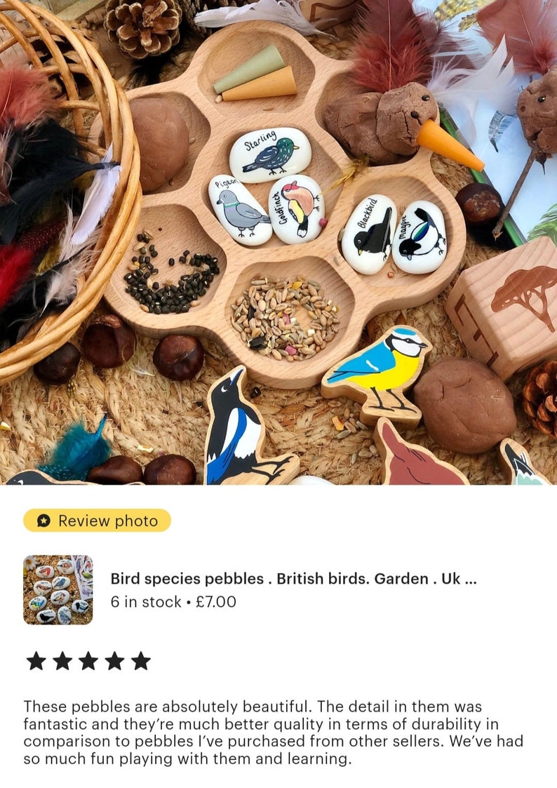Bird Species Hand Painted Pebbles . RSPB . Garden Birdwatching - Etsy UK