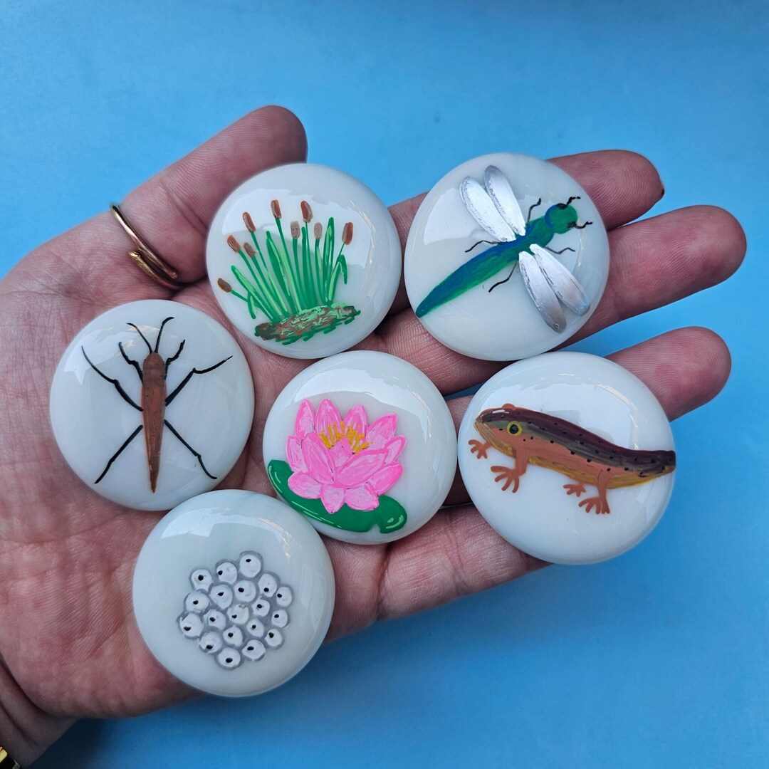 Pond Wildlife Painted Pebbles, Early Years Learning, Nature Hunt Story ...