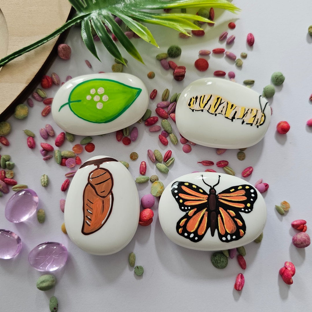 Butterfly Life Cycle Painted Pebbles, Caterpillar, Cocoon , Nature Hunt ...