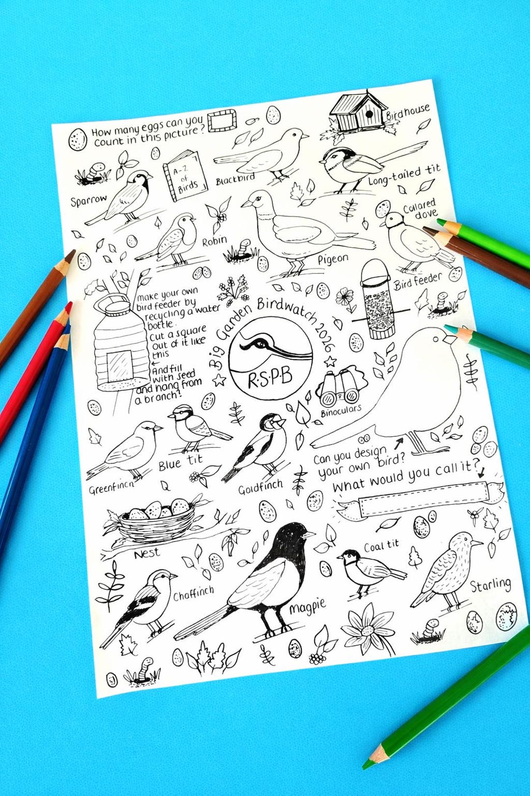 Printable Bird Activity Sheet, Birdwatching Weekend, Rspb, Download ...