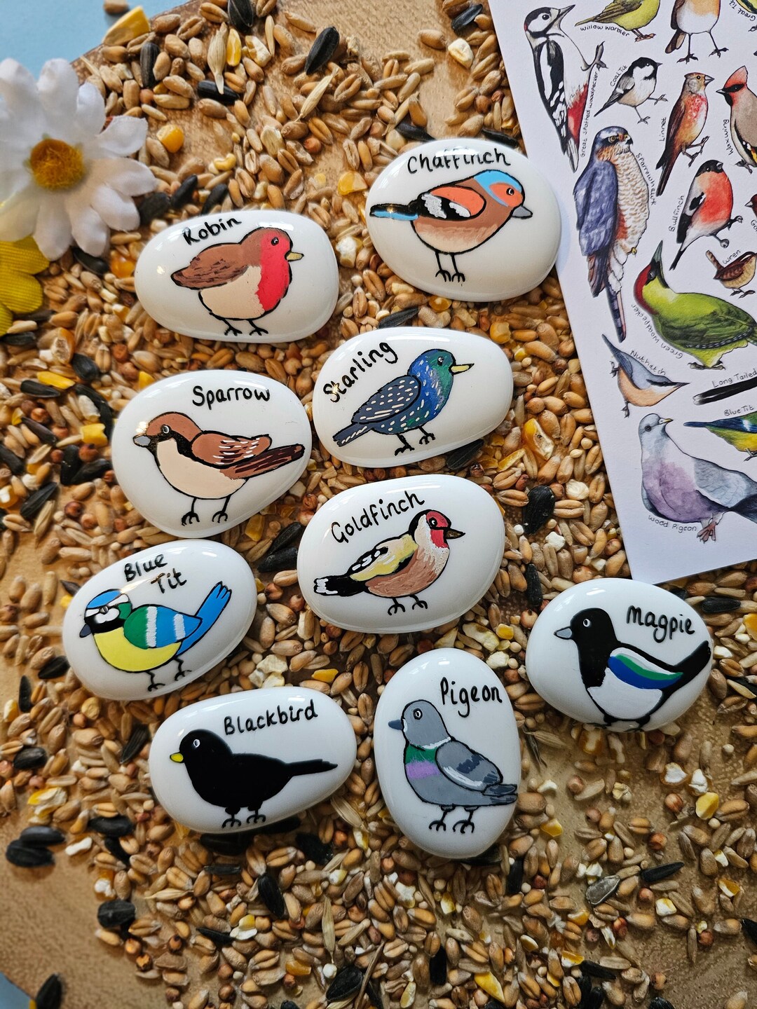 Bird Species Pebbles . British Birds. Garden . Uk Birdwatching Weekend ...