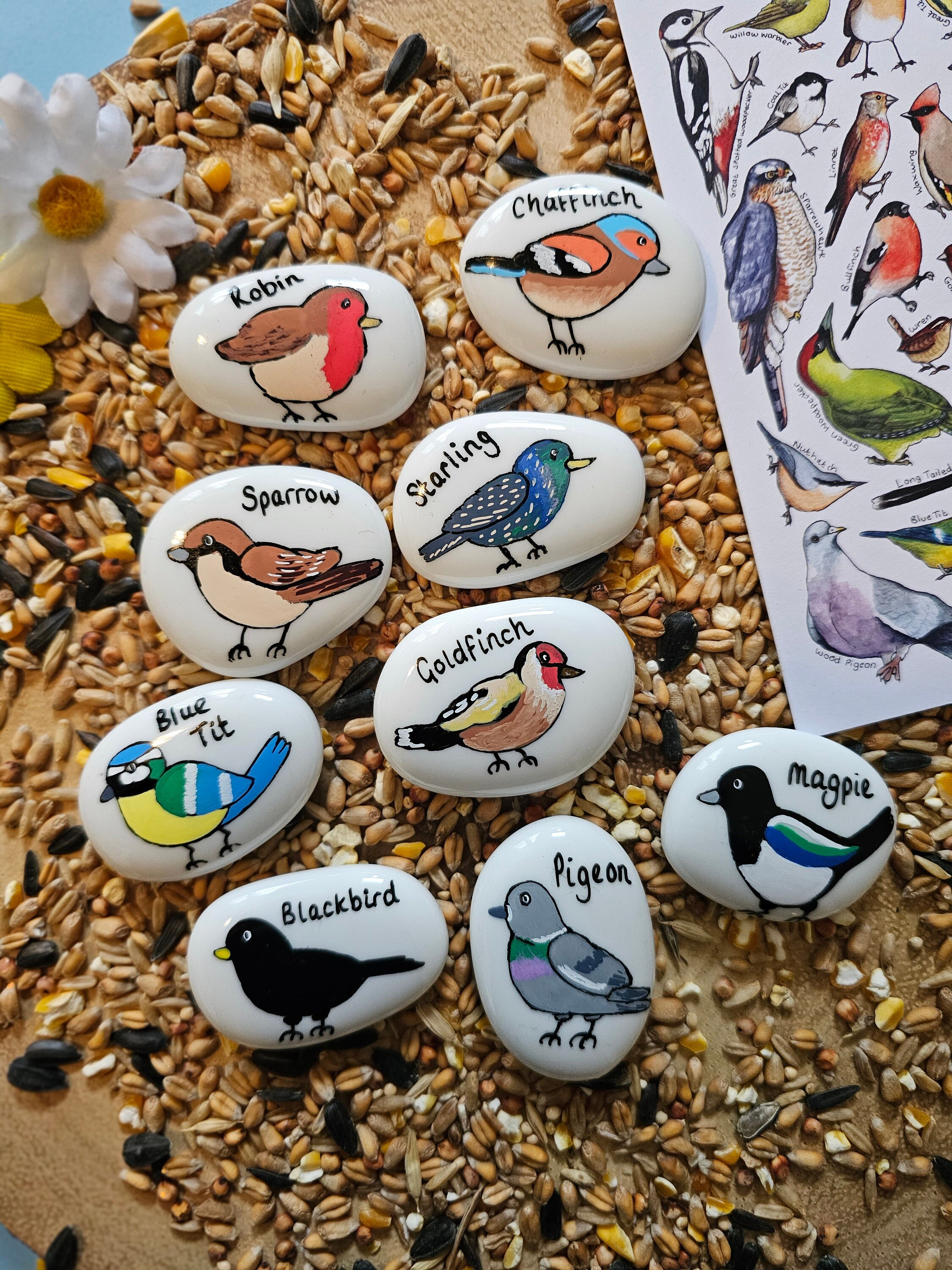 Bird Species Hand Painted Pebbles . RSPB . Garden Birdwatching - Etsy UK
