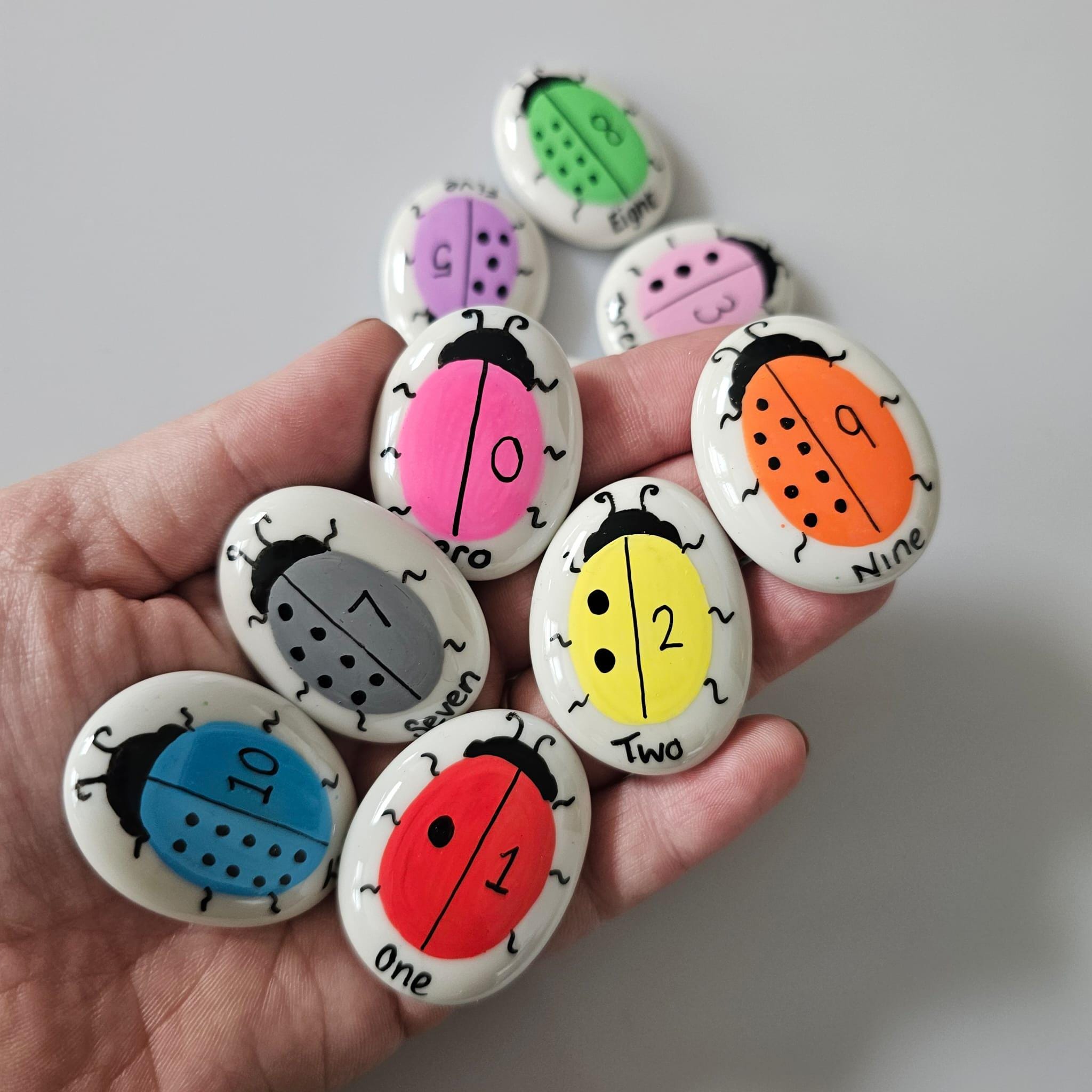 Painted Number Colour Counting Bug Pebbles. EYFS . Mathematics - Etsy UK