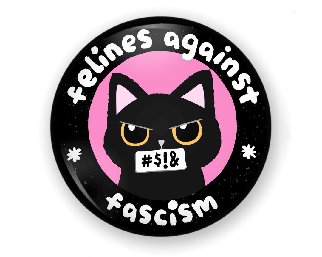 Anti-fascism Button or Magnet, Childless Cat Lady Button, Childless Cat ...