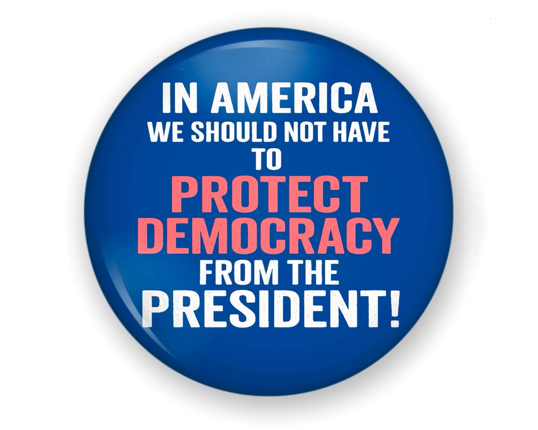 Large Size Protect Democracy Button or Magnet, Resist, Protest Button ...