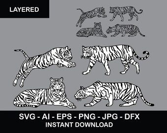 Tiger Evolution Timeline