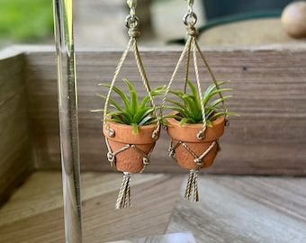 Trailing Plant Earrings Long Vines Hanging Pothos Basket - Etsy