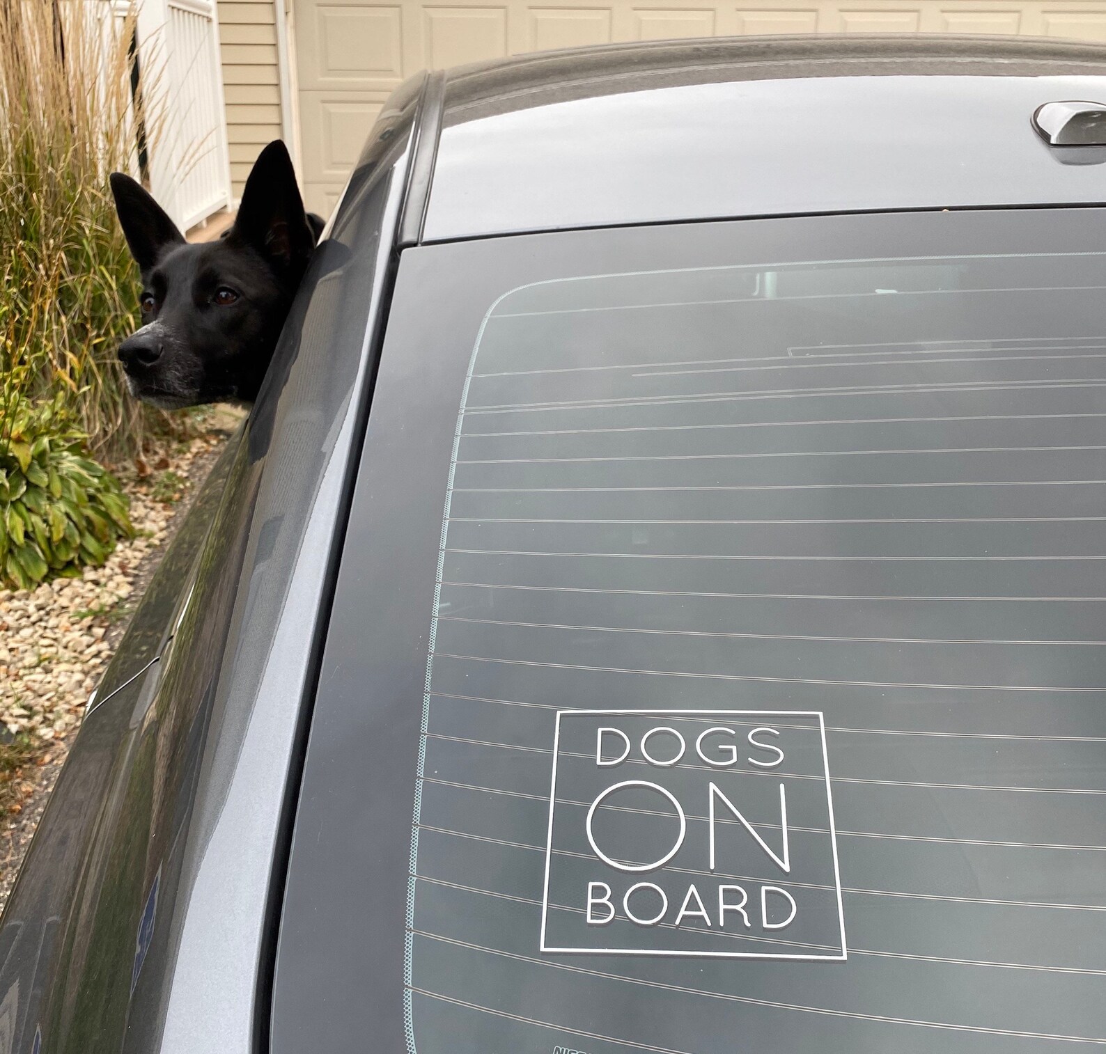 Dog on Board Dog Decal Dogs on Board Dog Mom Gift Fur Baby - Etsy
