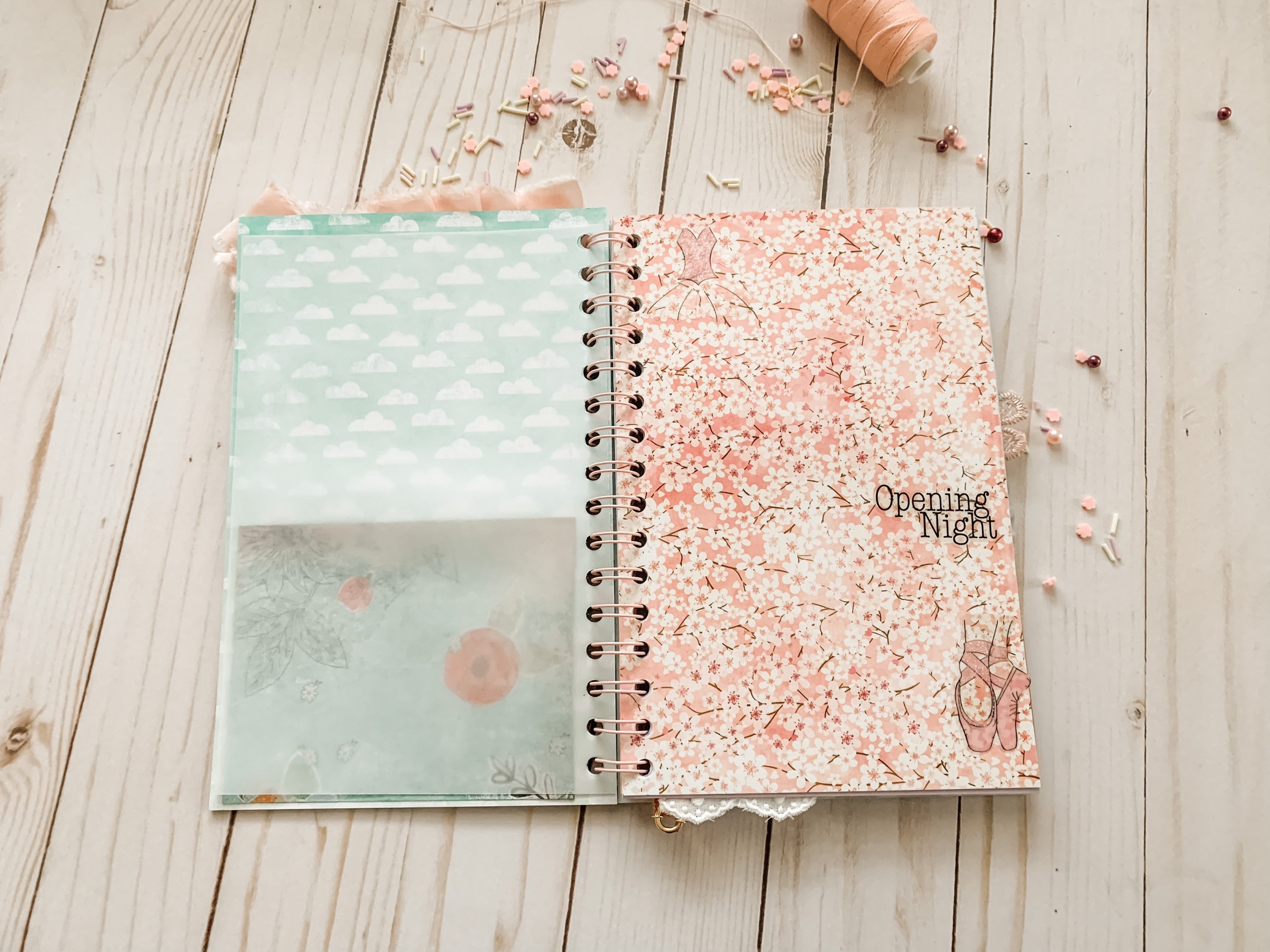 Dancer’s Diary / Ballerina Diary - Etsy