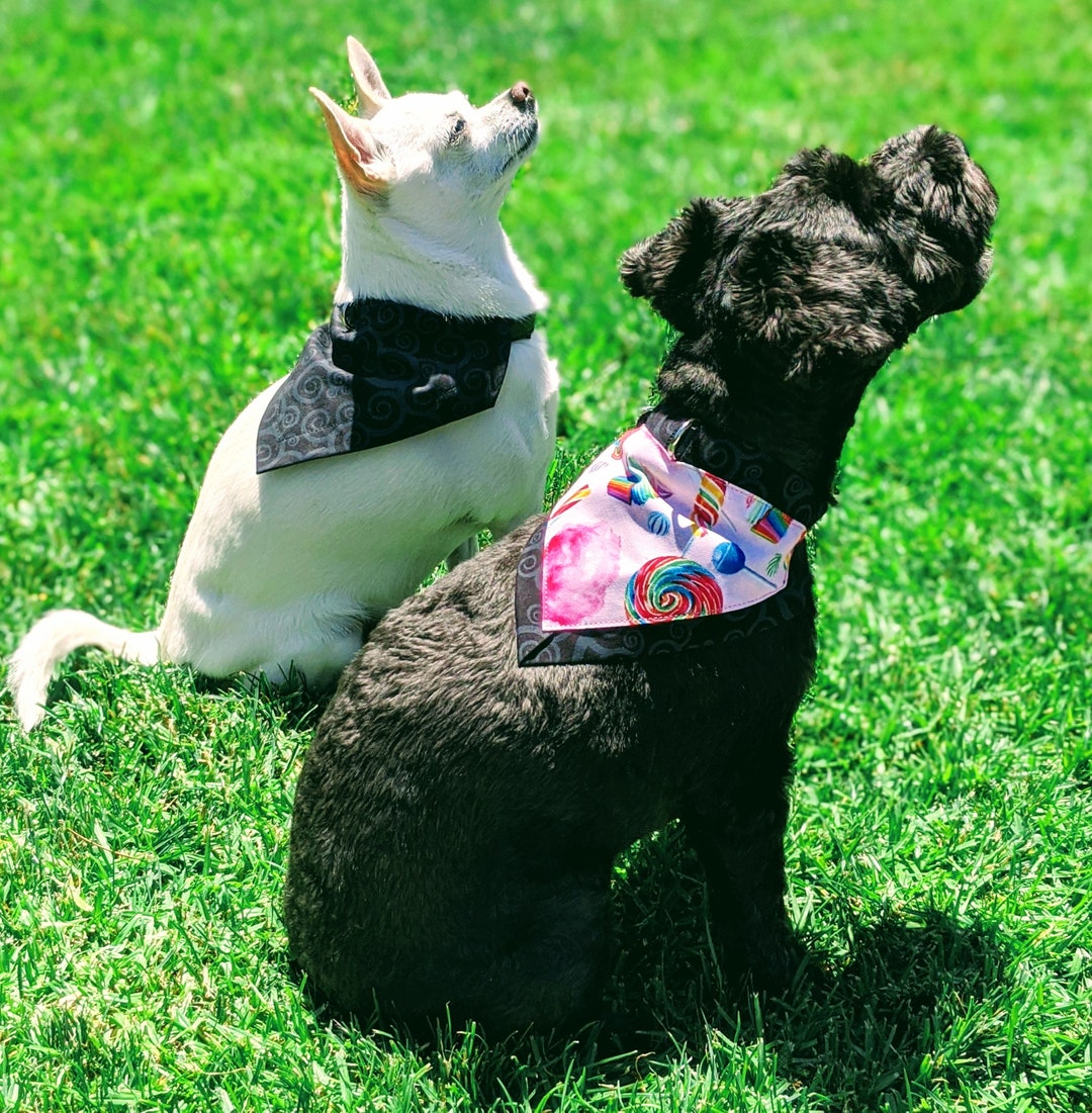 Puppy Flair Bandana Birthday Girl - Etsy