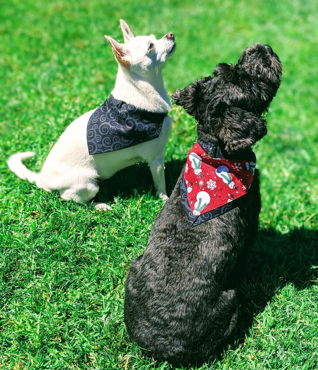 Puppy Flair Bandana Smowman - Etsy