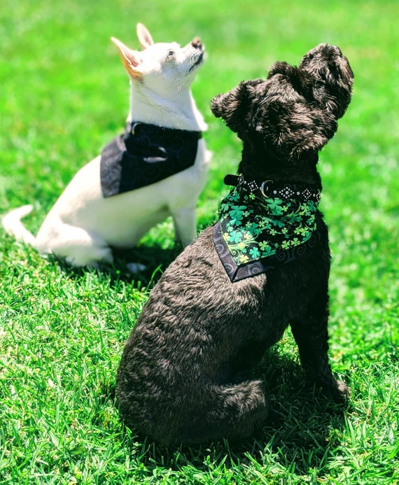 Puppy Flair Bandana Gem Addition St Patrick's Day | Etsy