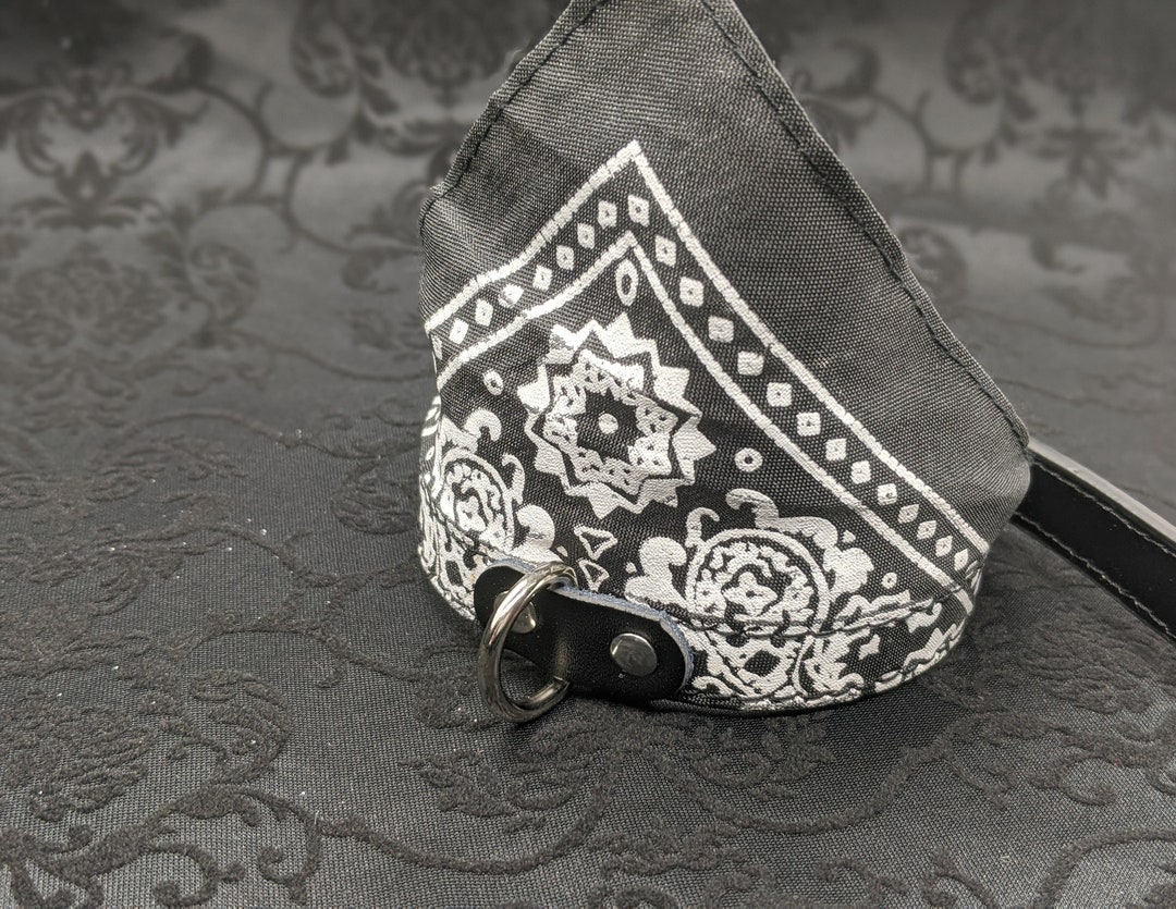 Puppy Flair Collars With Fabric Stabilizer - Etsy