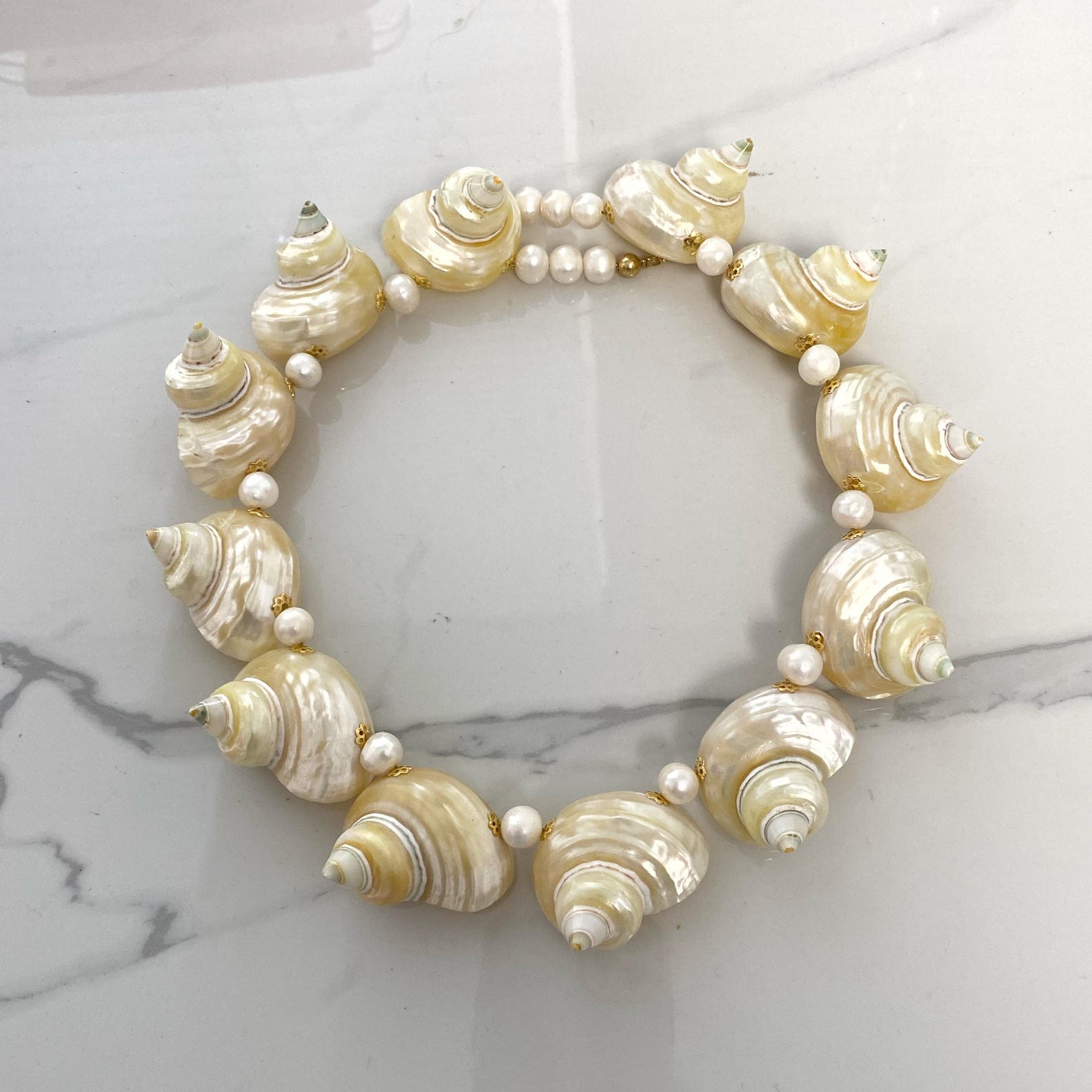 Sea Shells Necklace, Large Seashell Necklace, Short Necklace With Real ...