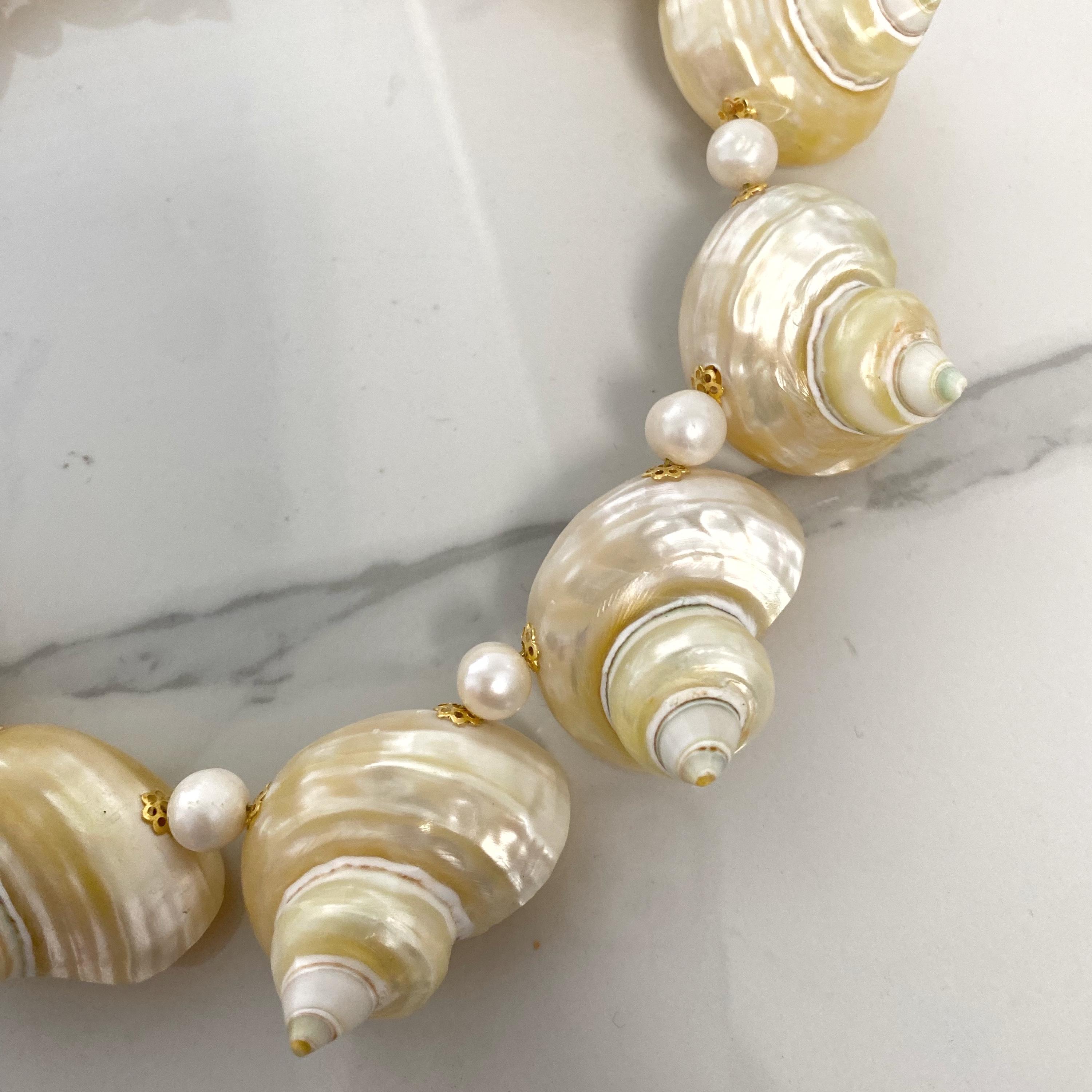 Sea Shells Necklace, Large Seashell Necklace, Short Necklace With Real ...