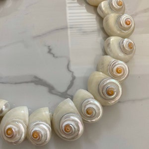 Sea Shell Necklace, Large Seashell Necklace, Oversized Natural Shell ...