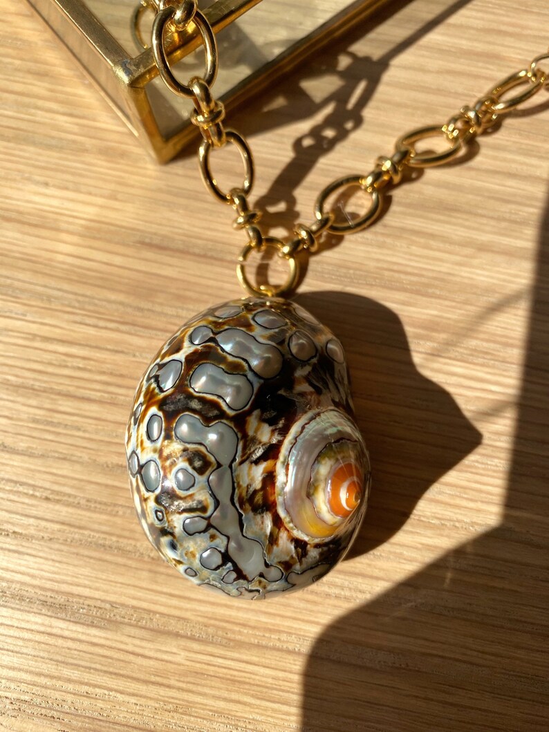 Large Shell Pendant Necklace Giant Huge Shell Necklace - Etsy