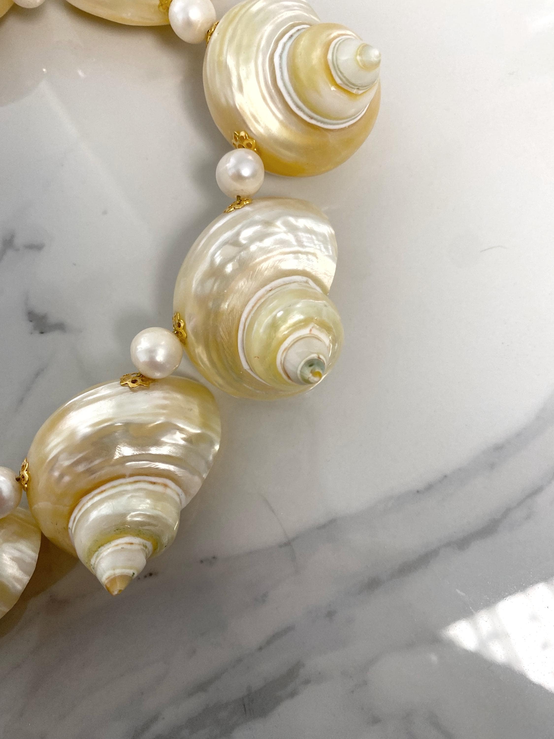 Sea Shells Necklace, Large Seashell Necklace, Short Necklace With Real ...