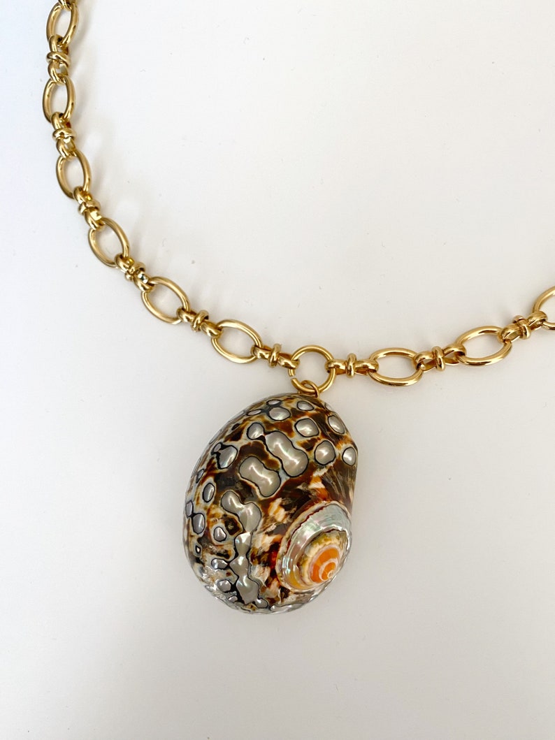 Large Shell Pendant Necklace Giant Huge Shell Necklace - Etsy