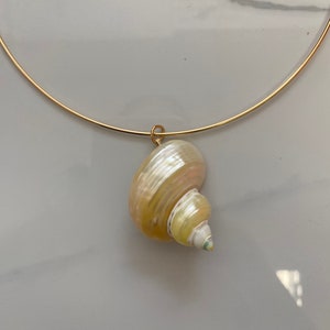 Sea Shell Collar Necklace, Natural Shell Pendant Necklace, Mermaid Core ...