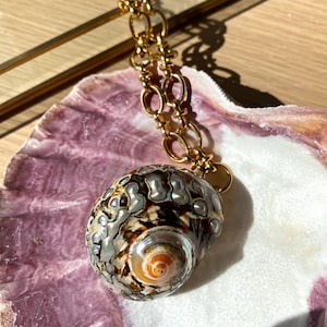 Large Shell Pendant Necklace, Giant Huge Shell Necklace, Natural Shell ...