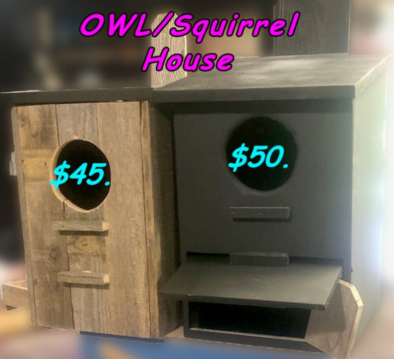 Bird Proof Squirrel Feeder Bird Owl Squirrel Houses Etsy 