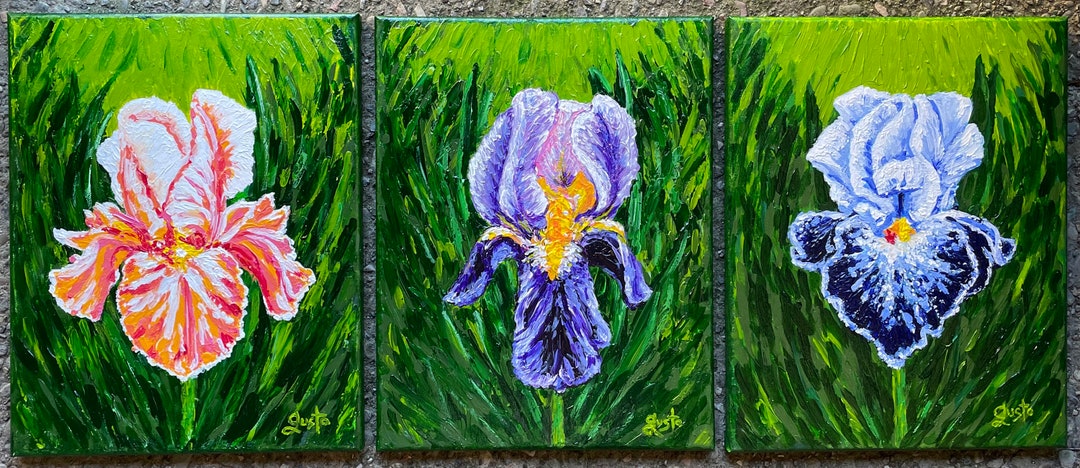 Iris Flowers, Impasto Acrylic Paintings, 11x14 Stretched Canvases, Semi ...