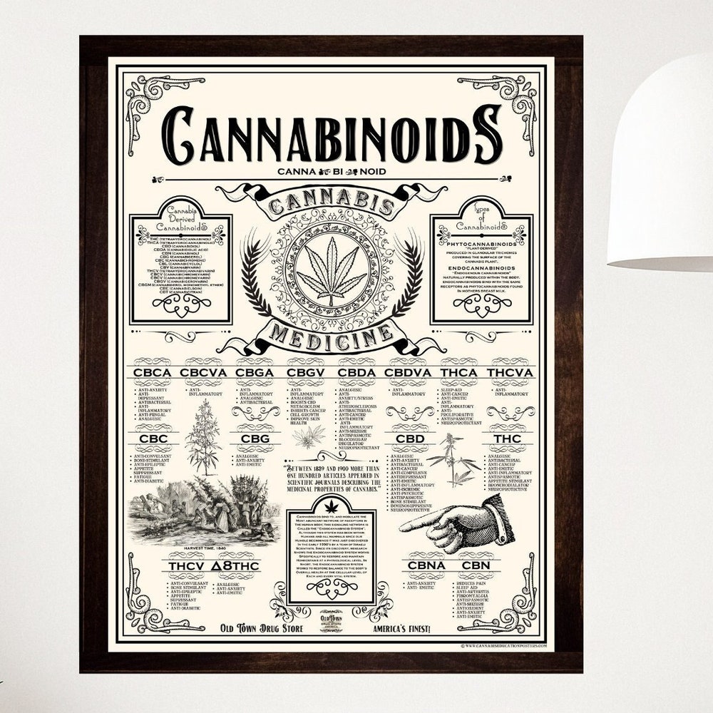 CannabisEduPosters - Etsy