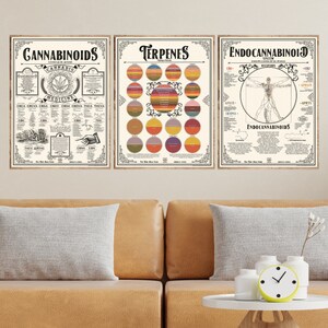 CannabisEduPosters - Etsy