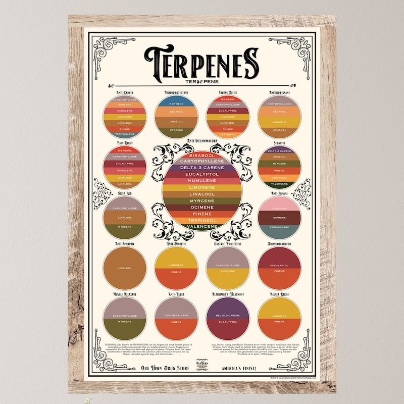 CannabisEduPosters - Etsy