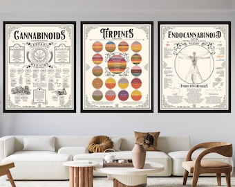 18 X 24 Inch Set of 3 Cannabis Education Posters Cannabinoids Terpenes ...