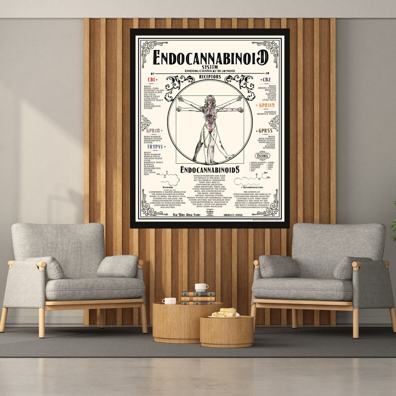 48 X 60 Inch Endocannabinoid System Cannabis Woman Cannabis Education ...