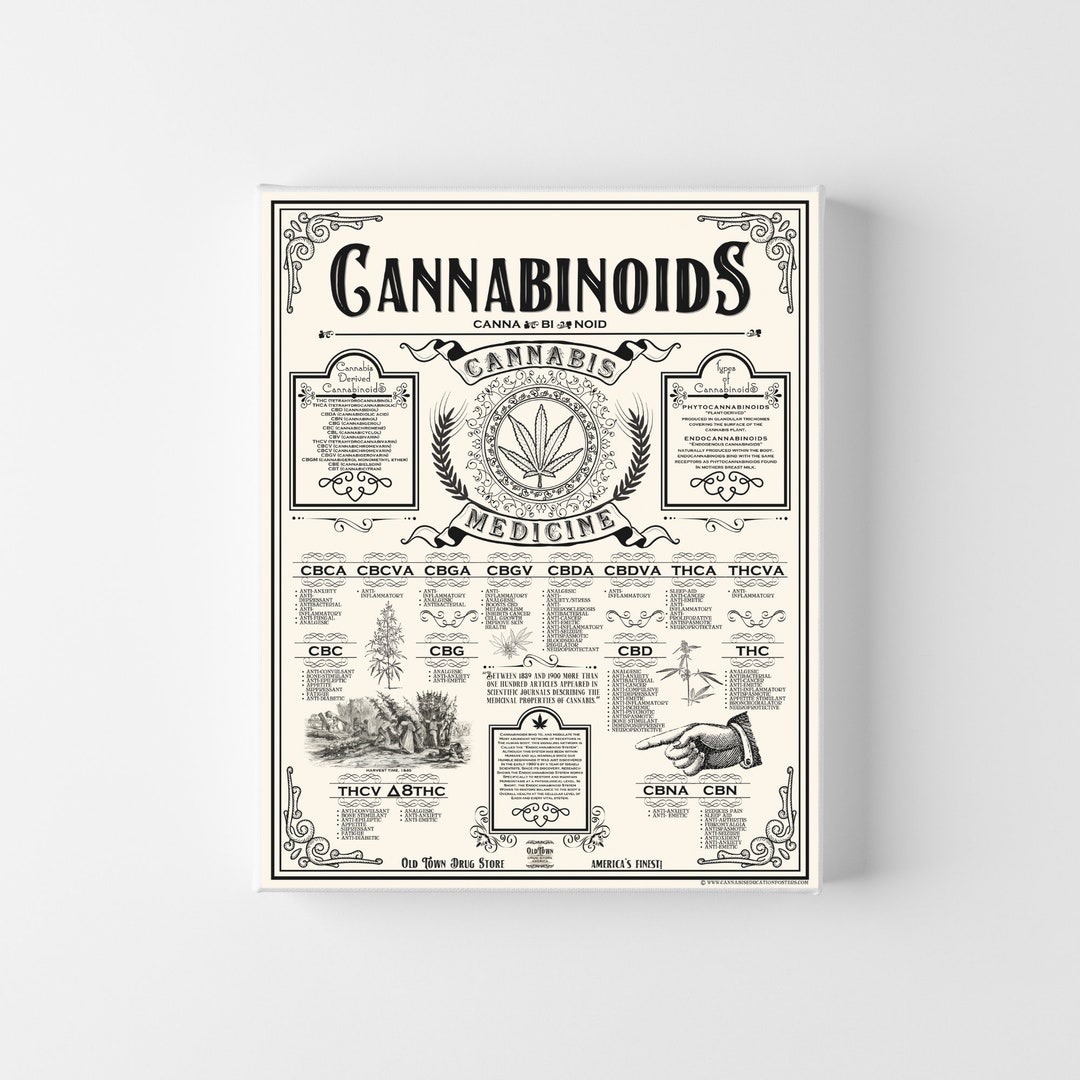 9 X 12 Inch Cannabinoids Cannabis Education Poster - Etsy