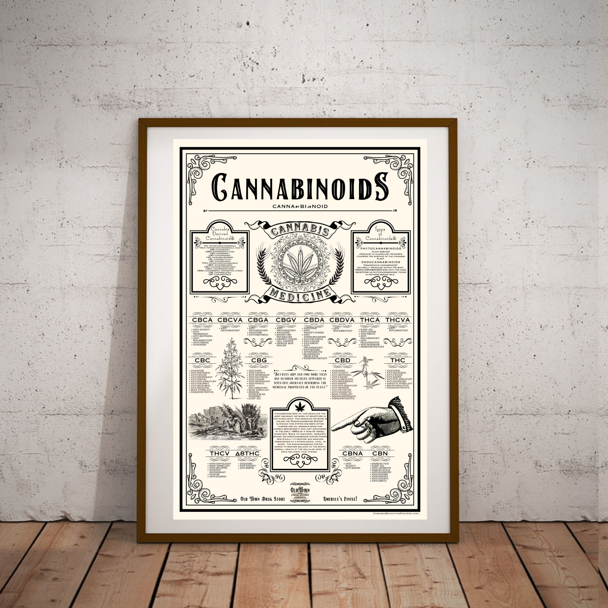 24 X 36 inch Set of 3 Cannabis Education Posters | Etsy